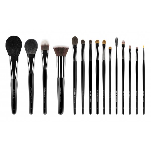 Set 15 pensule make-up Leonardo si ETUI Cadou